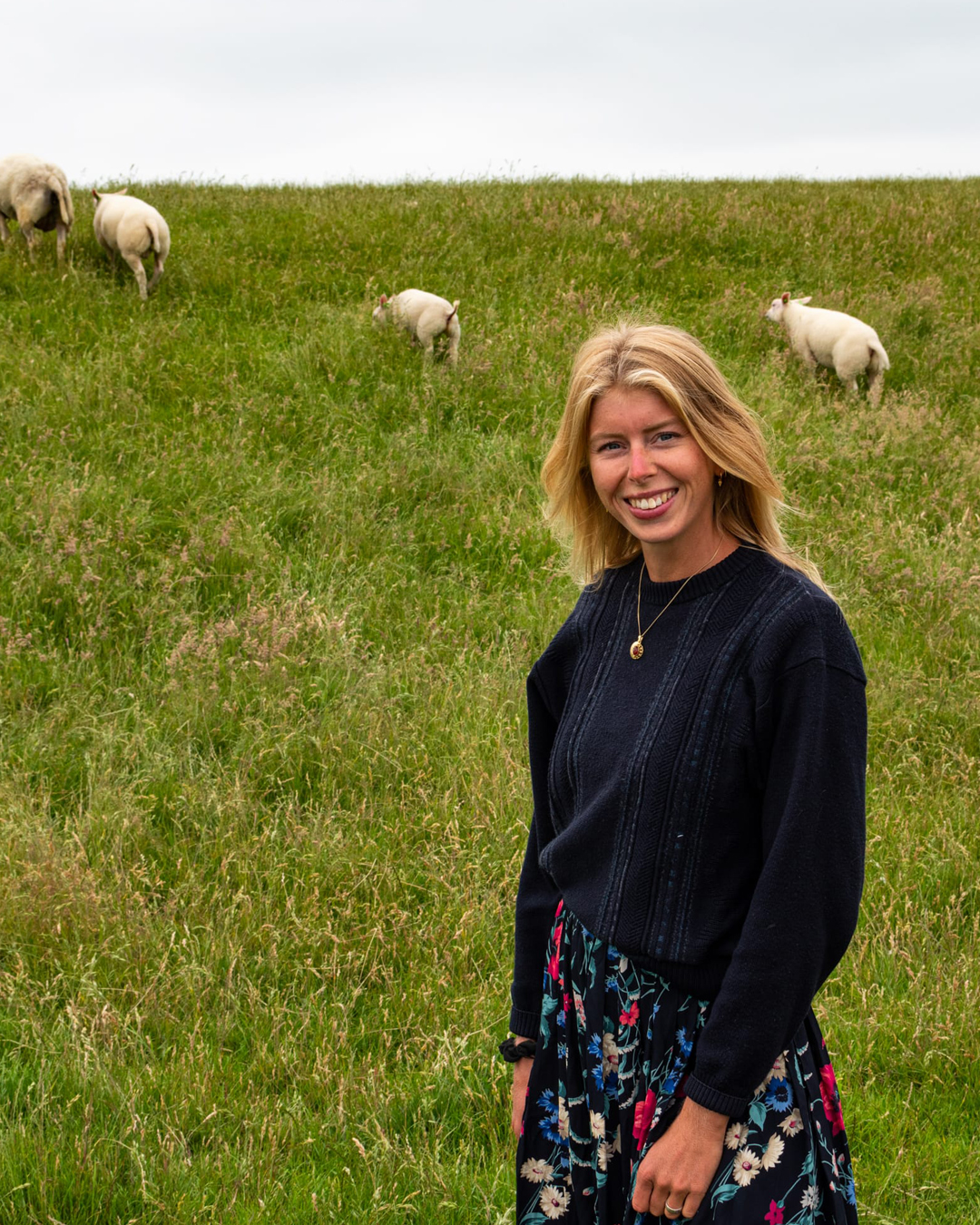 Wat is er mis met wol? Een lijst met vegan wol alternatieven - Vetjebol